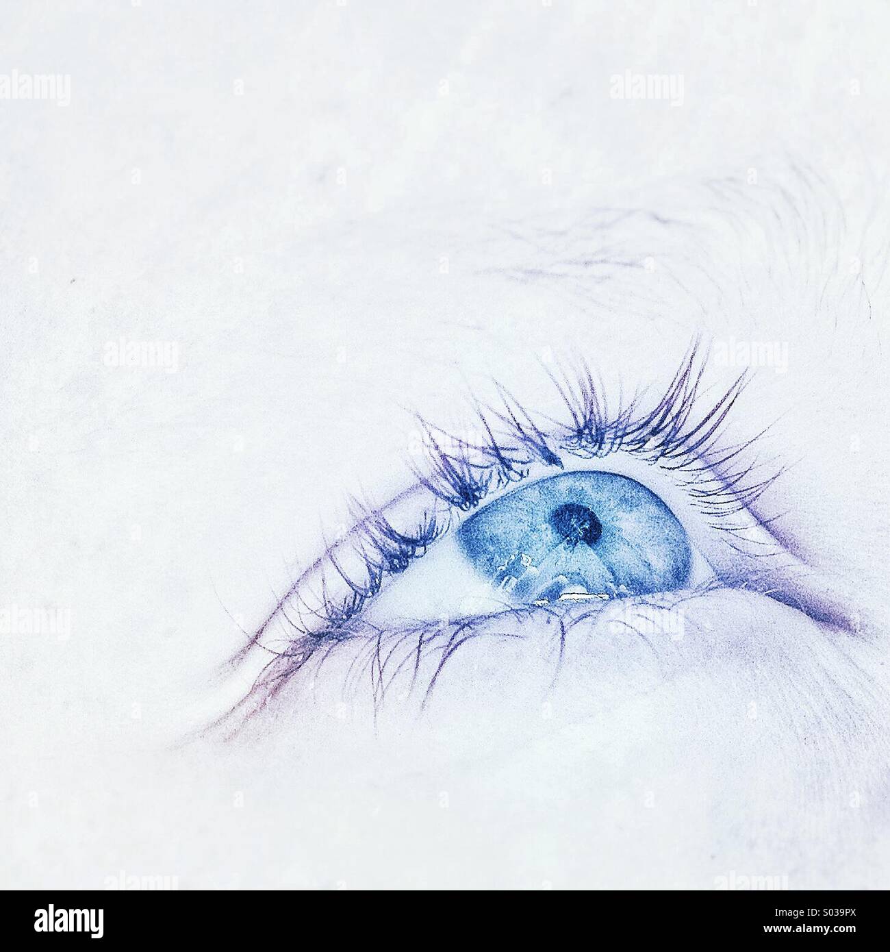 Closeup of eye human blue hi-res stock photography and images - Alamy