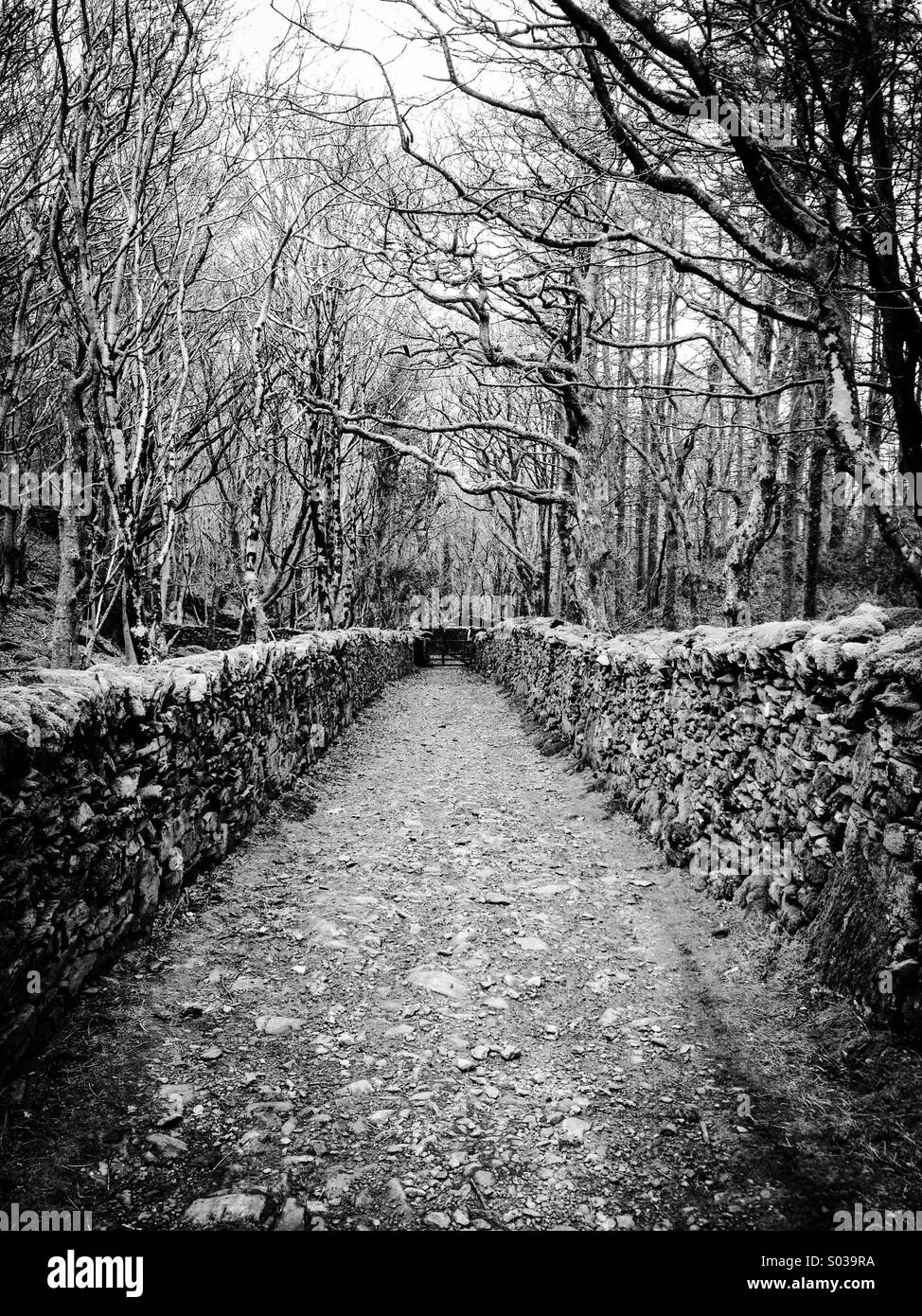 Country trail Black and White Stock Photos & Images - Alamy