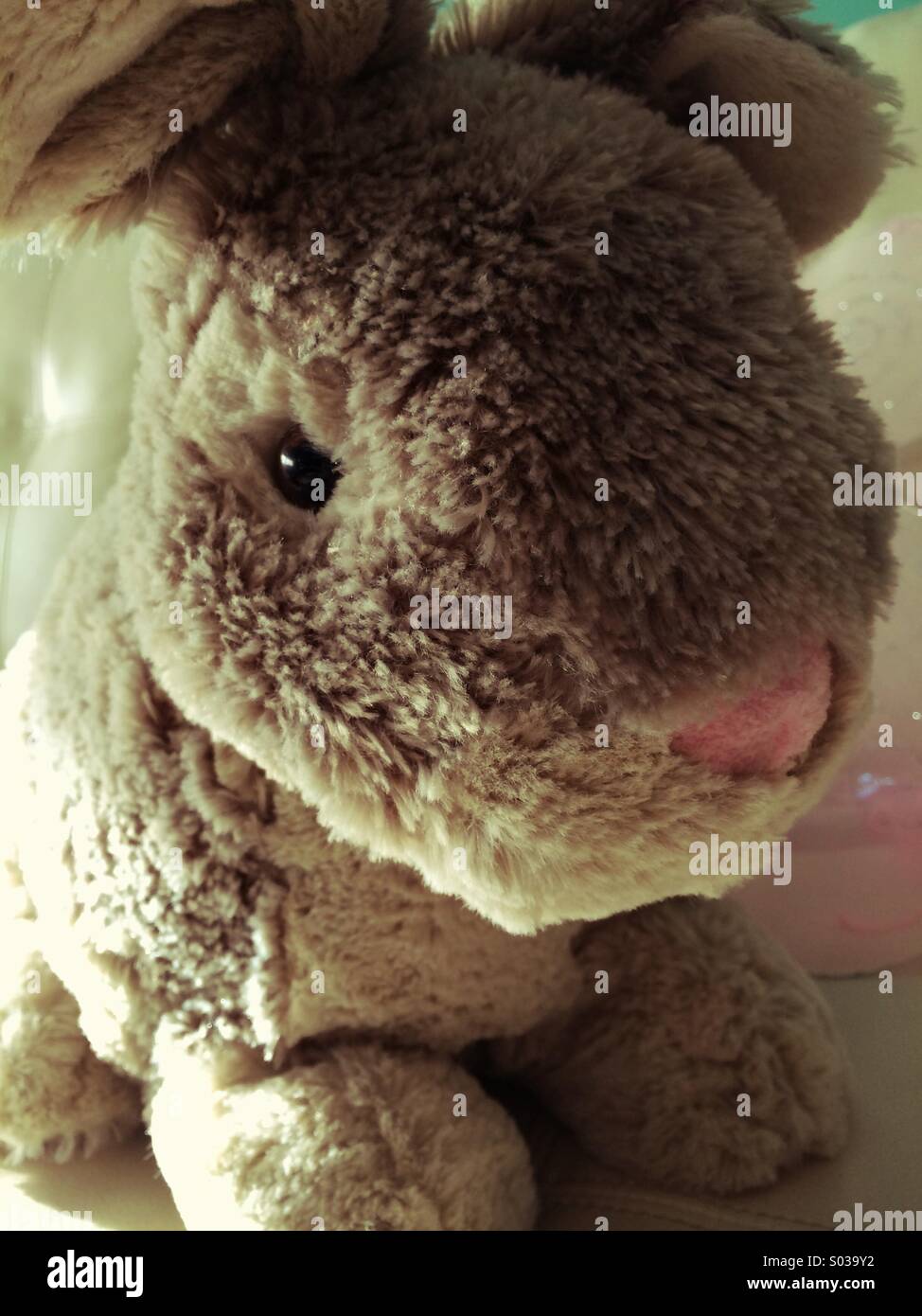 Hoppy the Bunny Stock Photo - Alamy