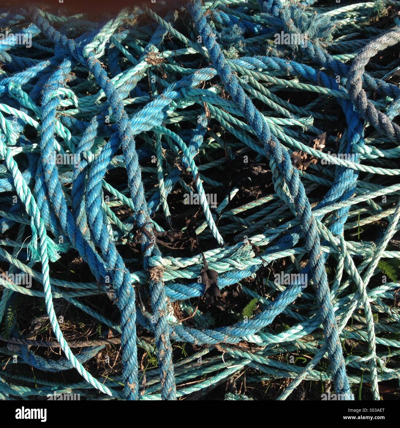 Blue ropes hi-res stock photography and images - Alamy