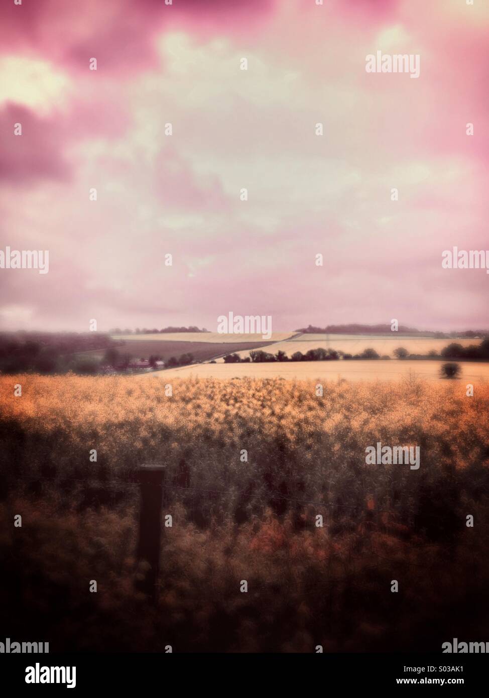 Creepy field hi-res stock photography and images - Alamy