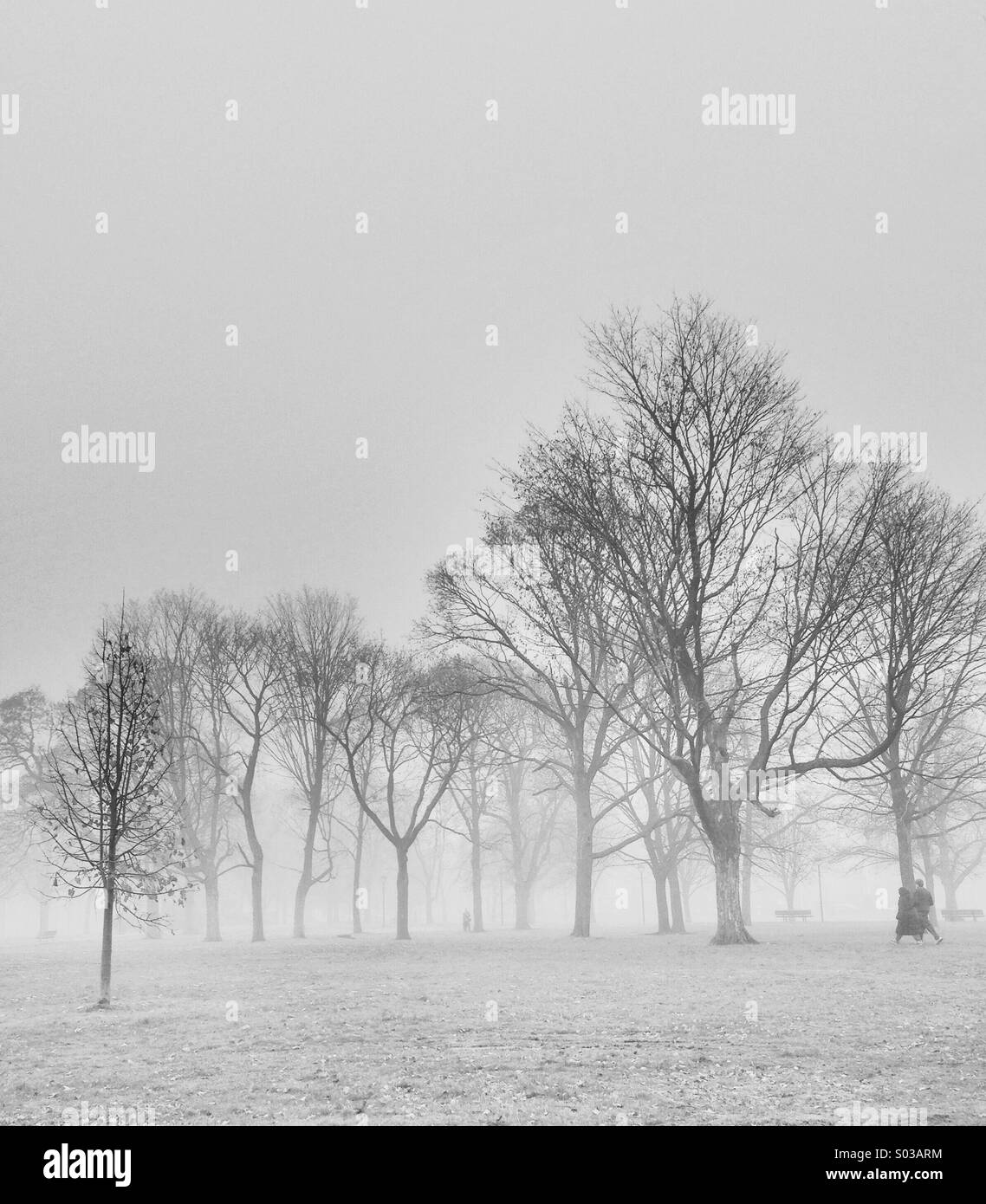 Walking through the fog in the park Stock Photo - Alamy