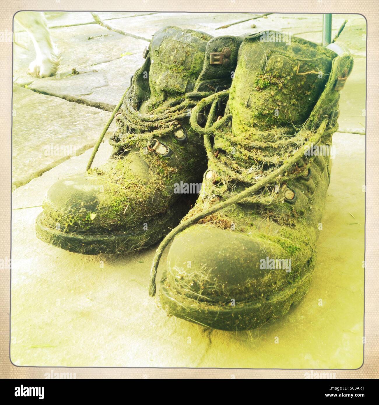 Rotten old hi-res stock photography and images - Alamy