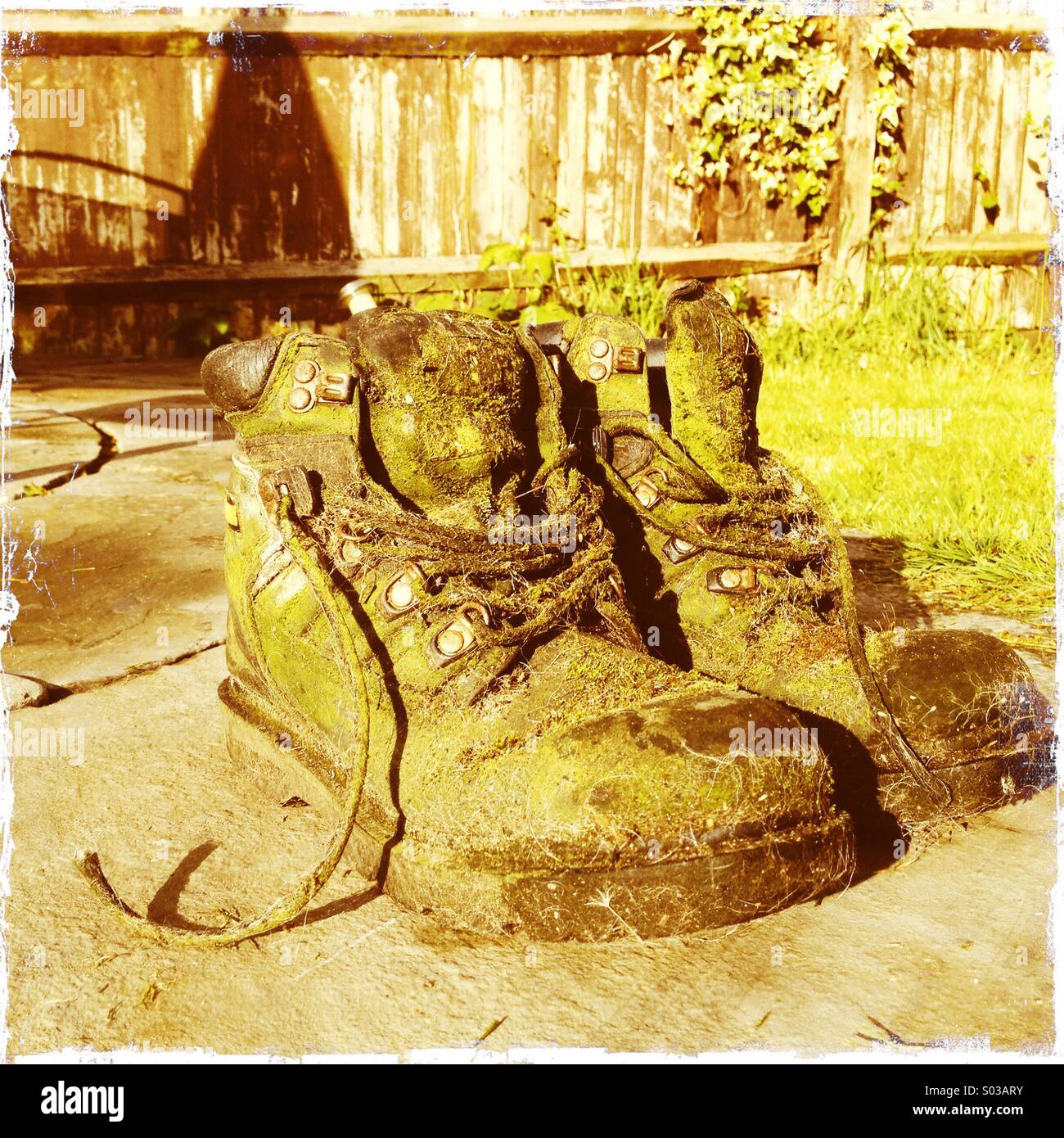 Rotten old hi-res stock photography and images - Alamy