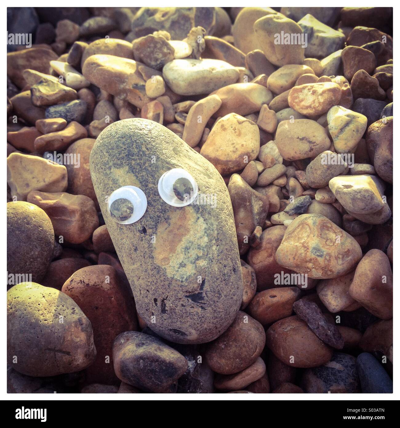 Stone with eyes Stock Photo - Alamy