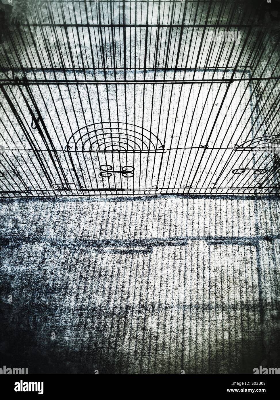 Bars of cage hi-res stock photography and images - Alamy