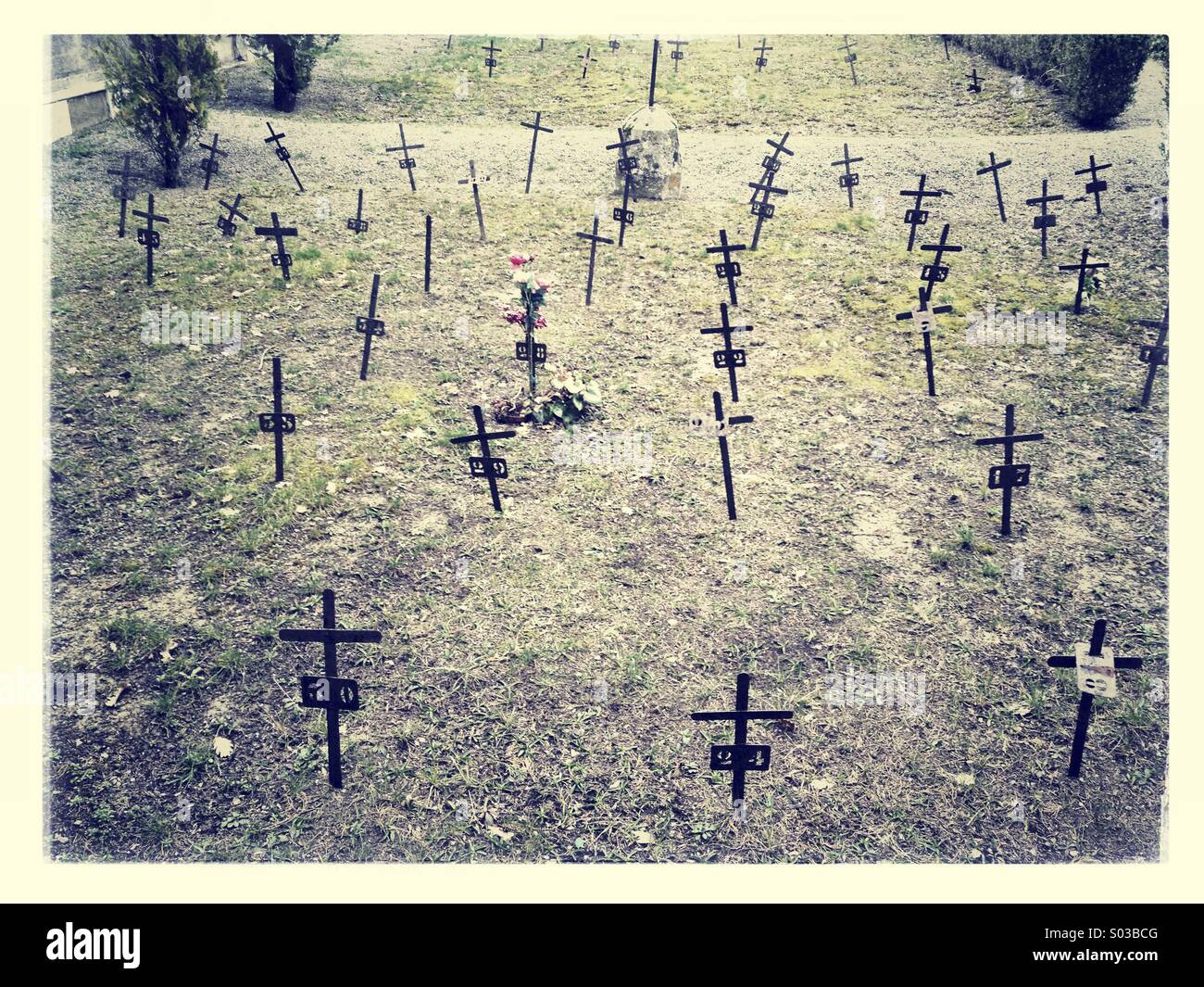 Children graves hi-res stock photography and images - Alamy