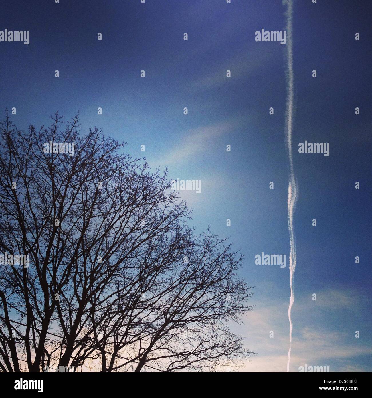 Blue Sky with Jet Trail Ribbon and Winter Tree Stock Photo - Alamy