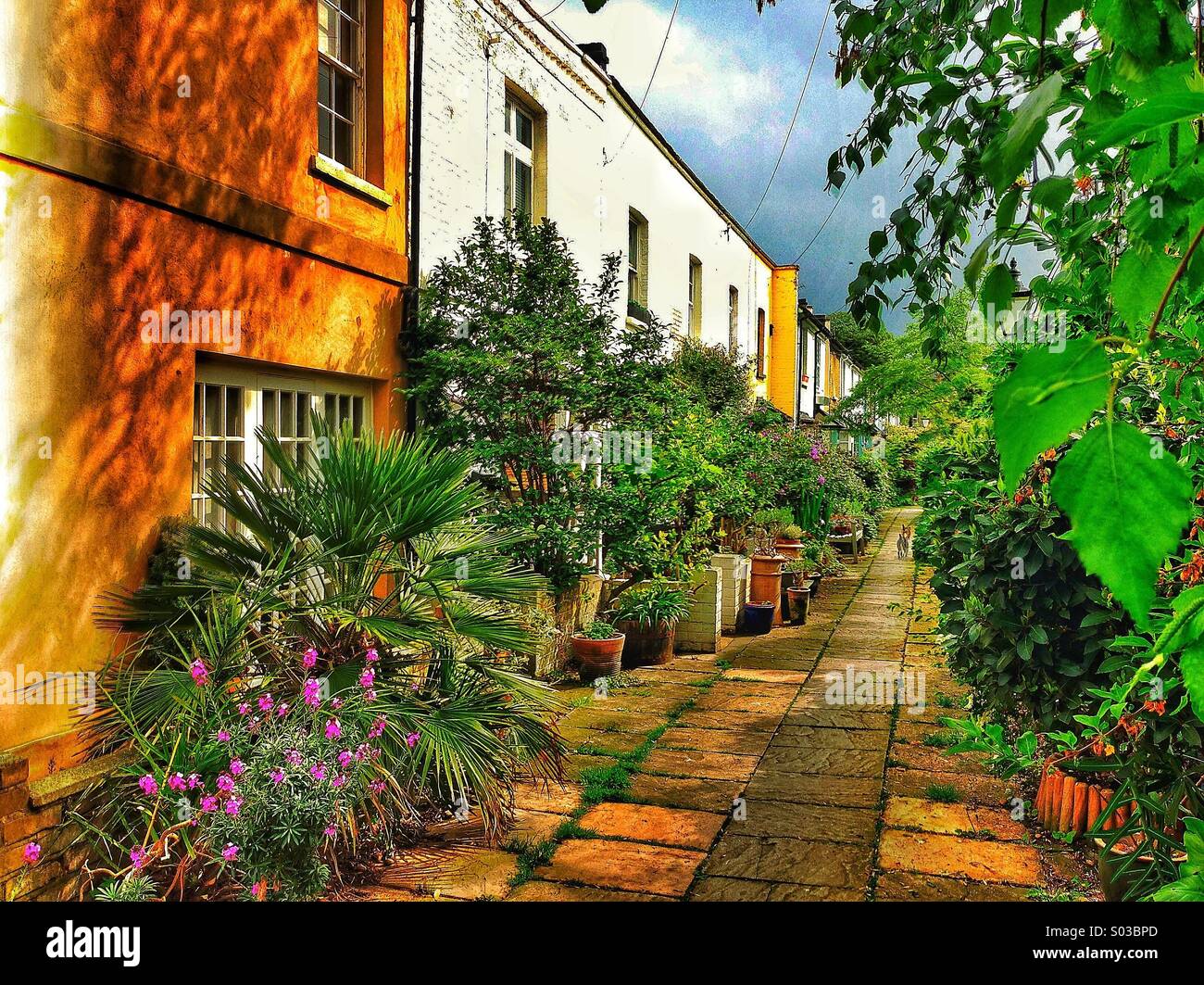 Choumert Square Peckham Stock Photo - Alamy