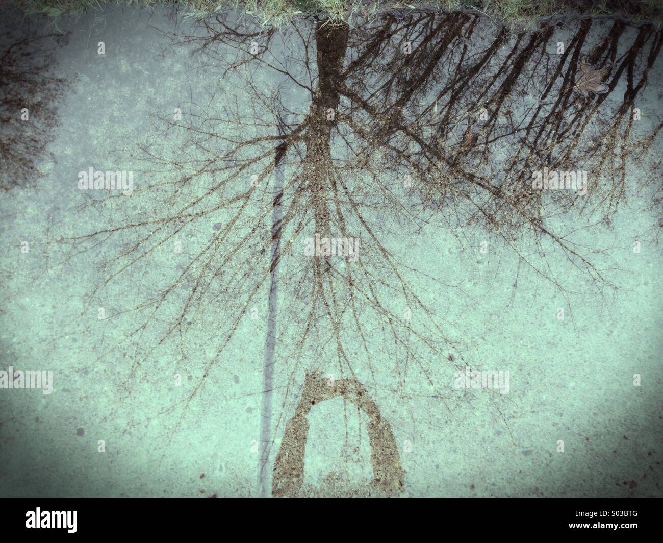 Self taken hi-res stock photography and images - Alamy