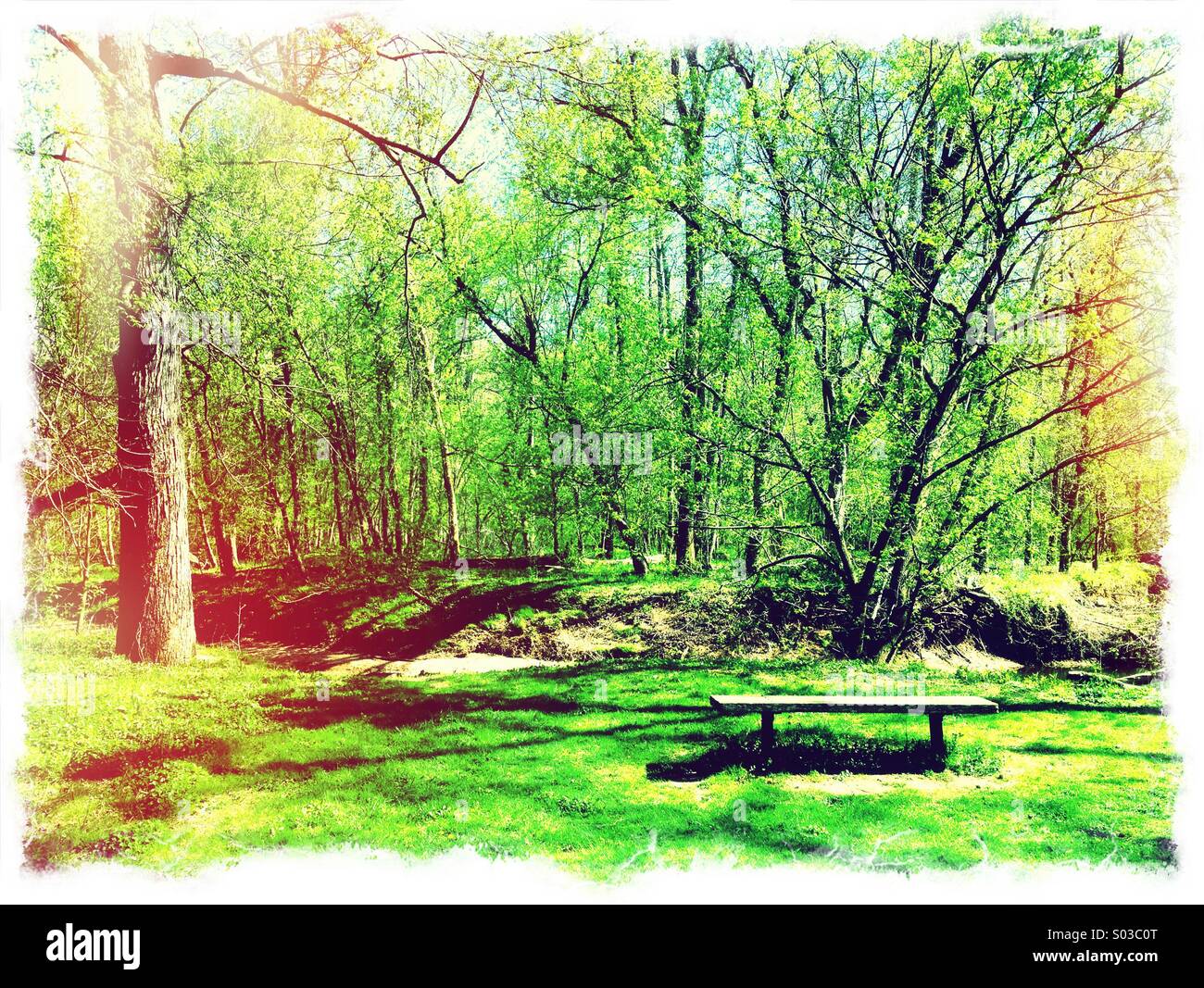 An empty bench awaits hikers in a suburban park along a quiet stream ...
