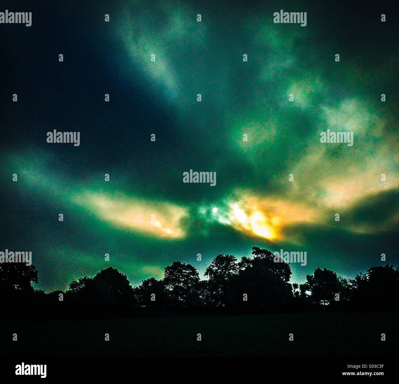 Tree line with storm clouds behind Stock Photo - Alamy