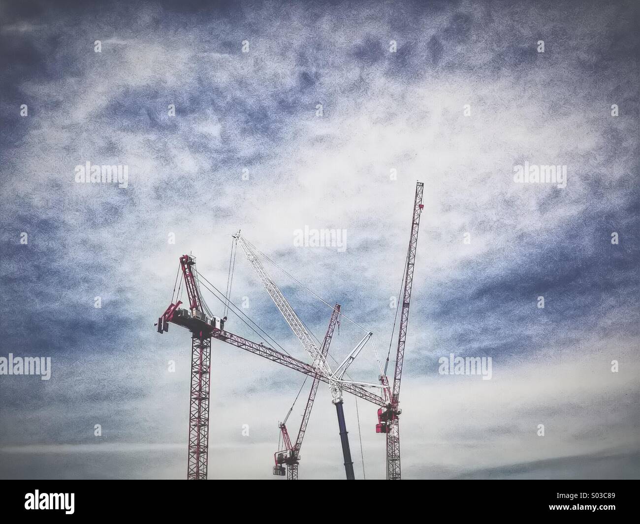 The fighting crains Stock Photo - Alamy