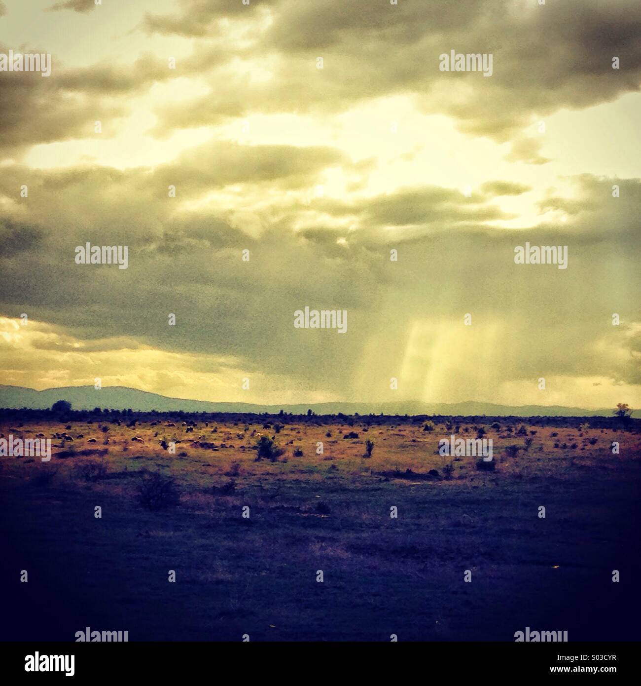 Sun rays field hi-res stock photography and images - Alamy