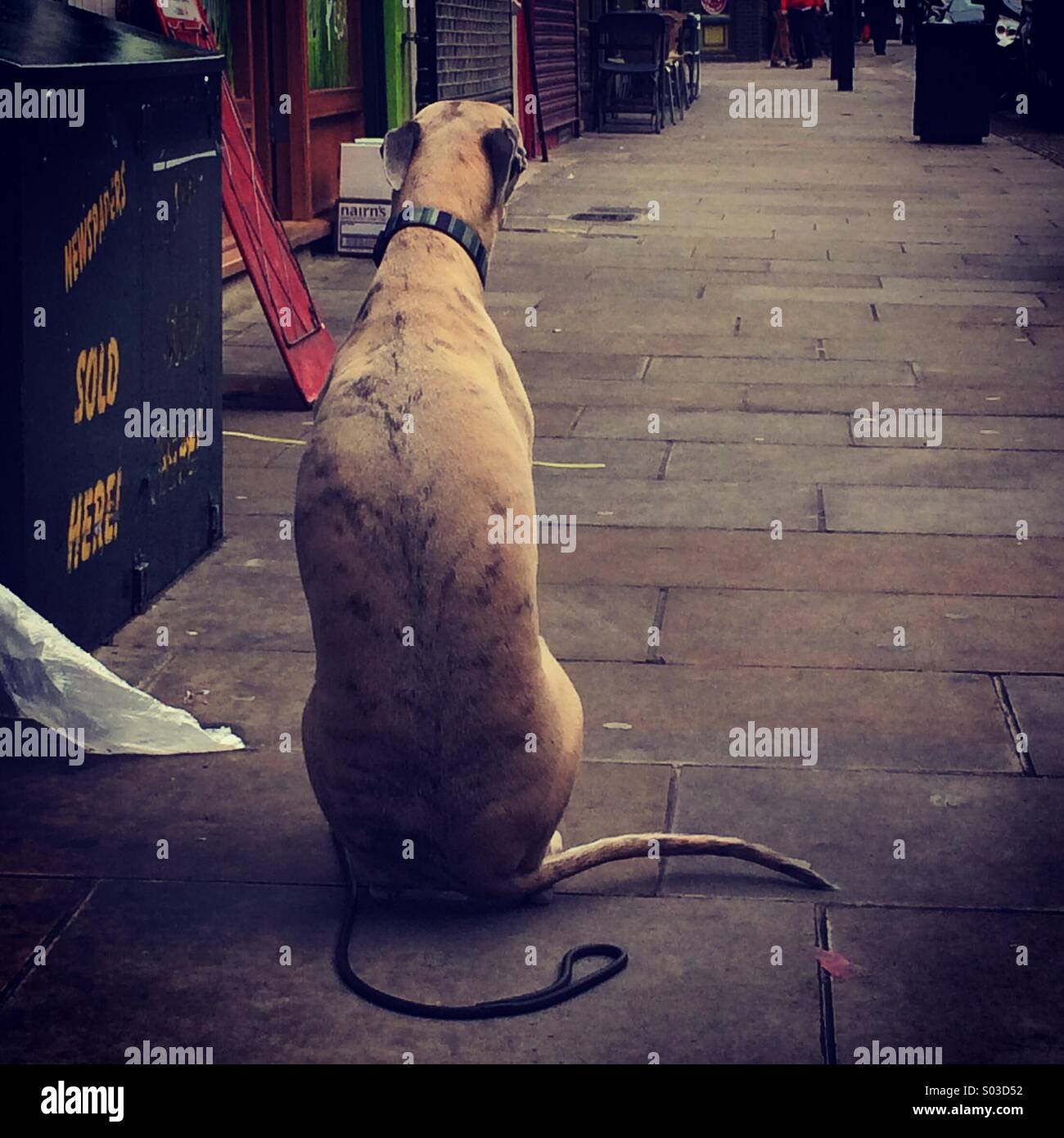 Waiting for master hi-res stock photography and images - Alamy