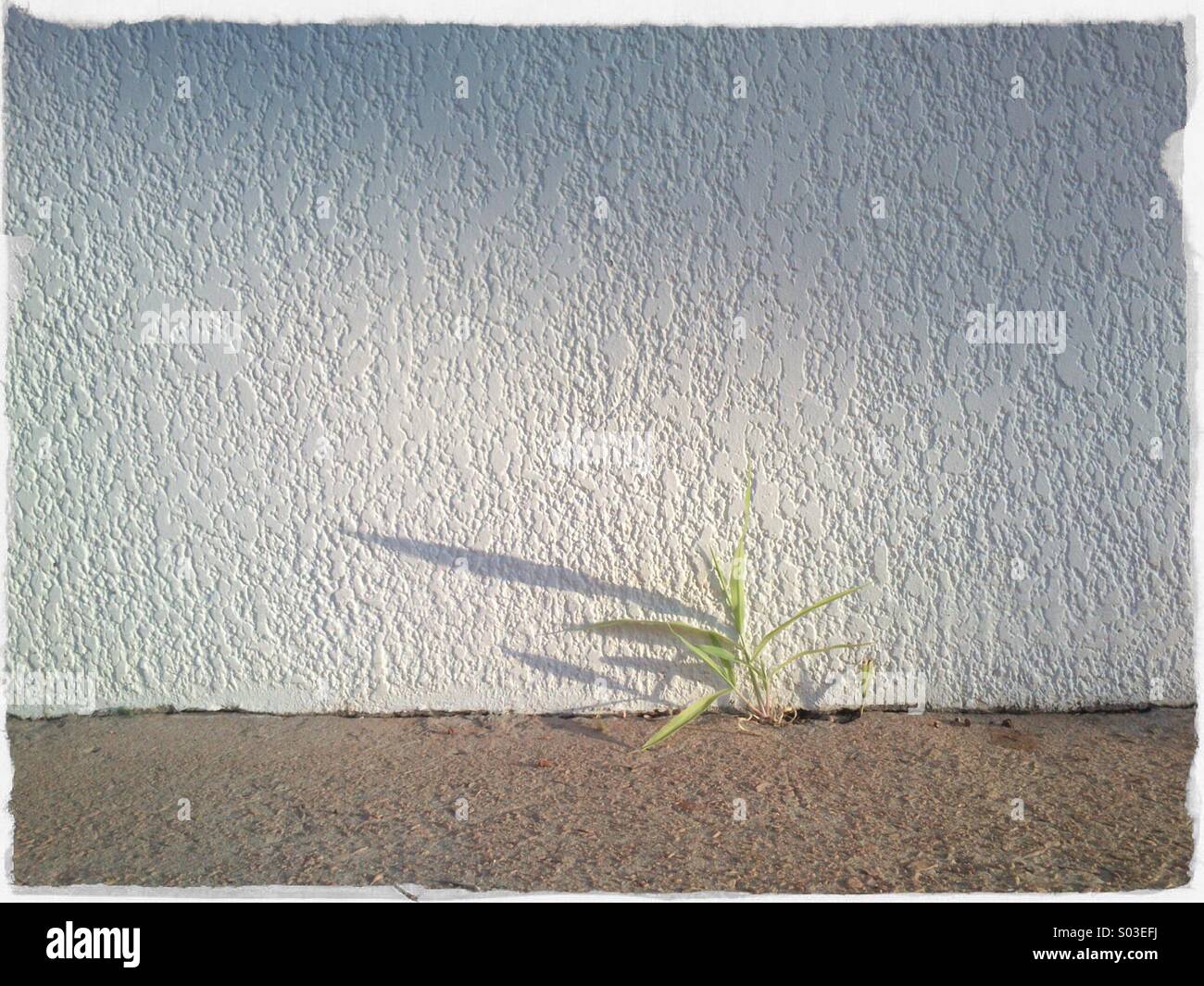 Shadow of hope Stock Photo - Alamy