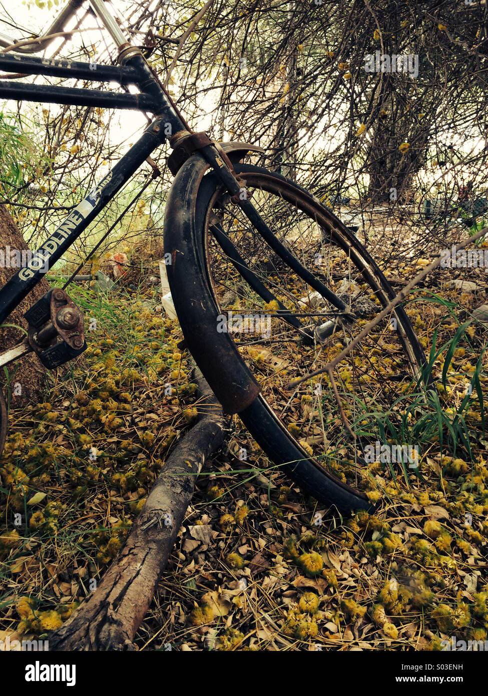 Lost Cycle High Resolution Stock Photography and Images - Alamy