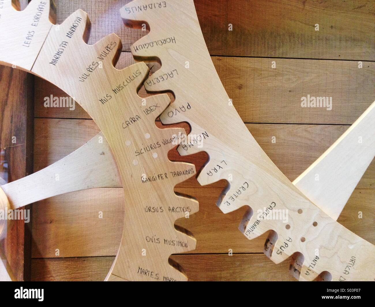 Wood gears hi-res stock photography and images - Alamy