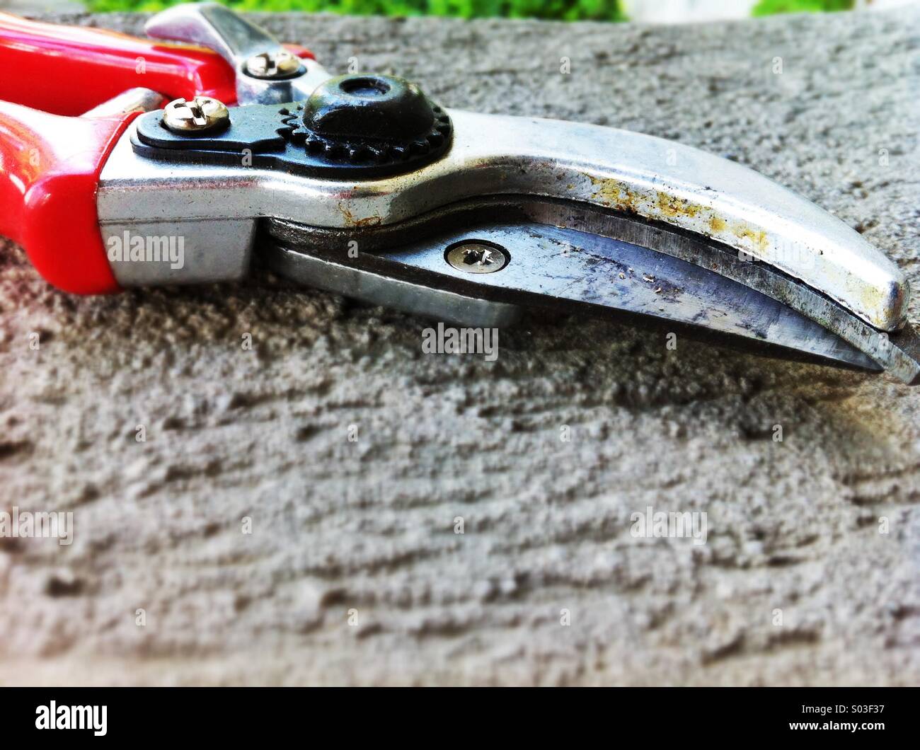 Garden clippers hi-res stock photography and images - Alamy