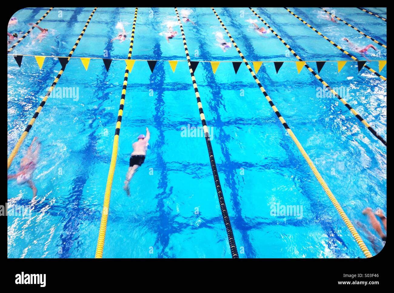 Swimming pool swimmers hi-res stock photography and images - Alamy