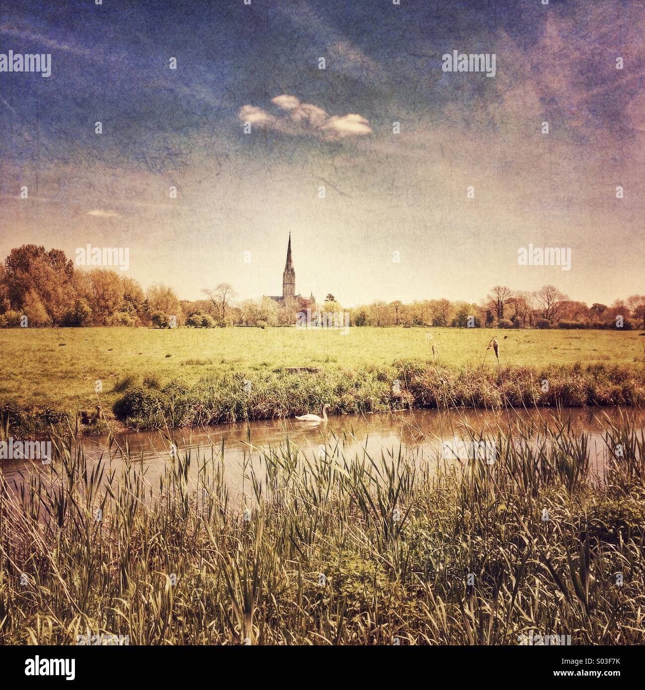 River Nadder and Salisbury Cathedral Stock Photo - Alamy