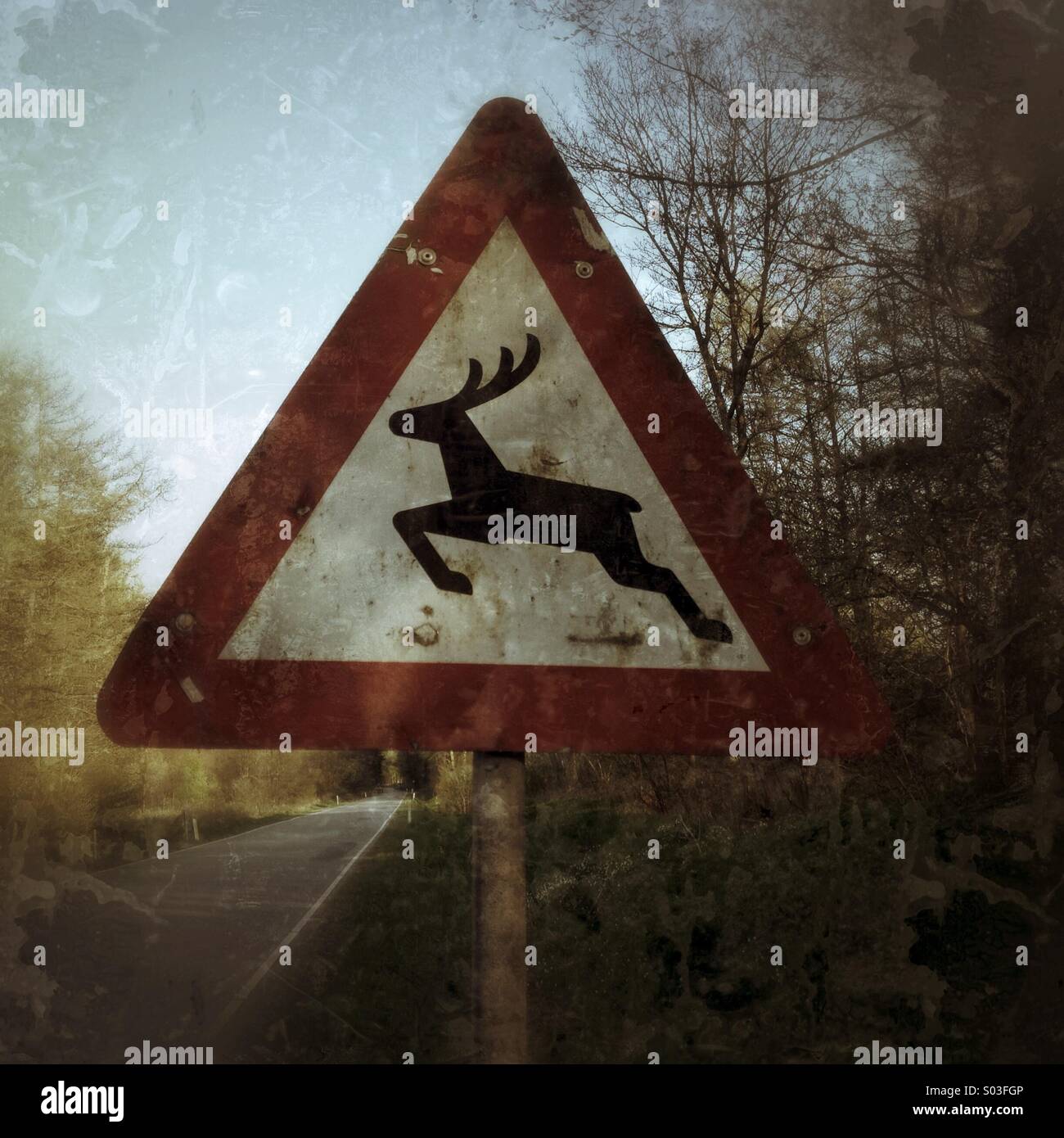 Warning deer hi-res stock photography and images - Alamy
