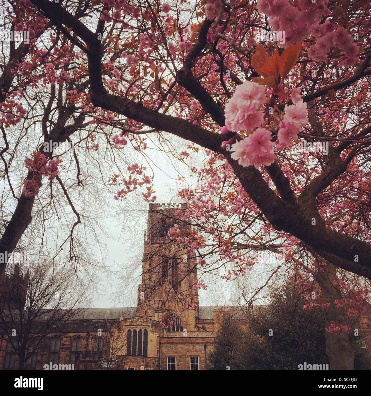Durham cathedral in spring hi-res stock photography and images - Alamy
