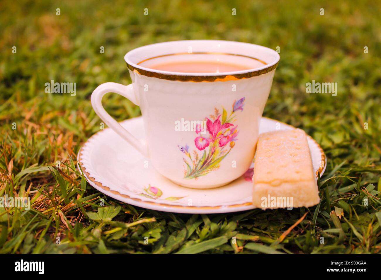 English tea break hi-res stock photography and images - Alamy