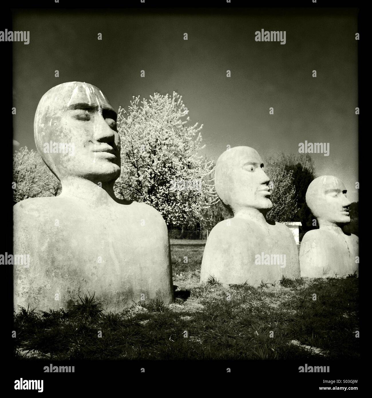 3 heads hi-res stock photography and images - Alamy