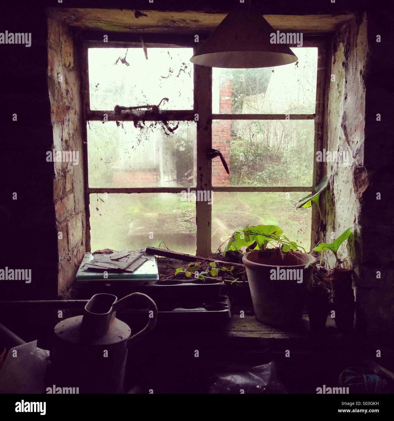 Abandoned gardeners potting shed interior Stock Photo - Alamy