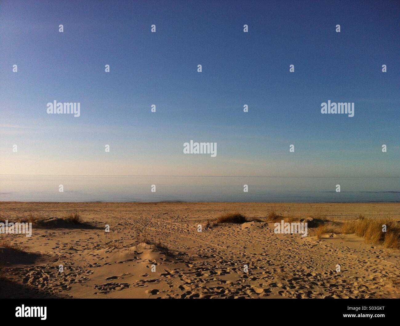 Sand, bushes, sea and sky Stock Photo - Alamy