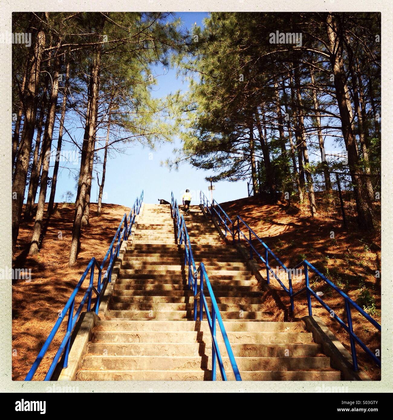 Steep stairs Stock Photo - Alamy