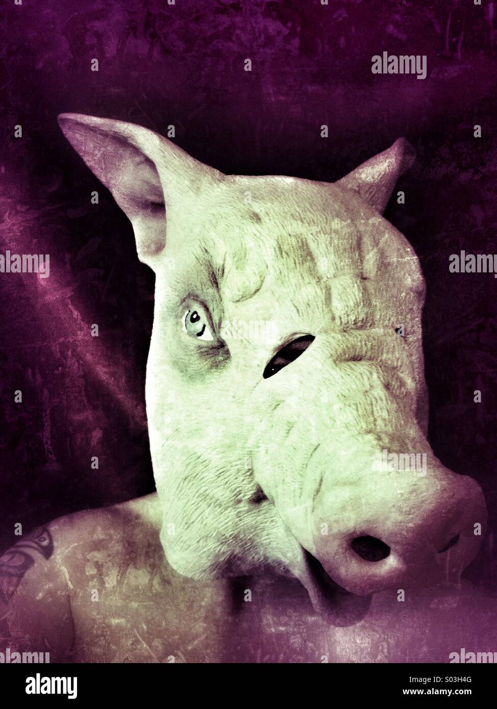 Pig mask hi-res stock photography and images - Alamy