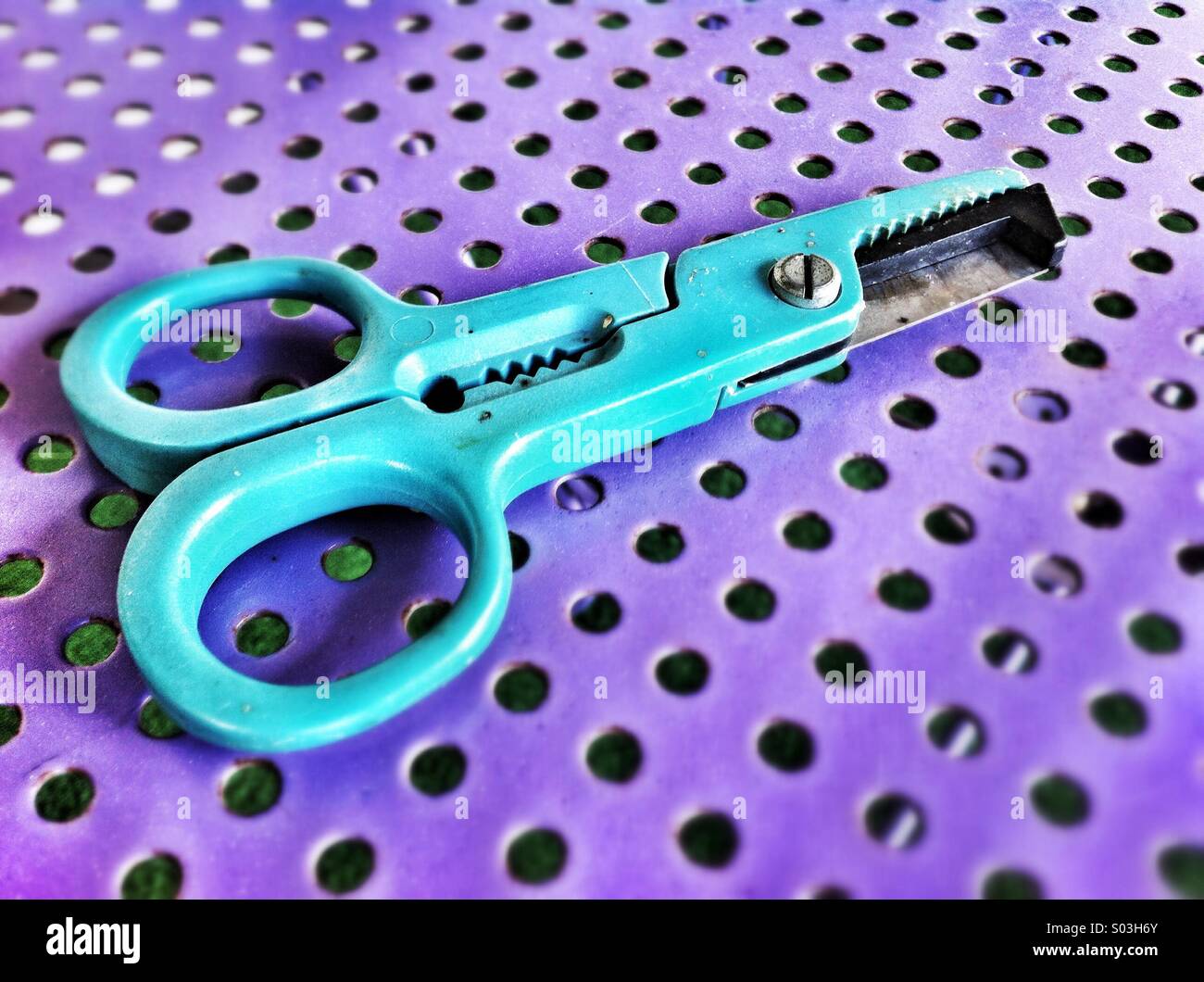 Garden scissors hi-res stock photography and images - Alamy