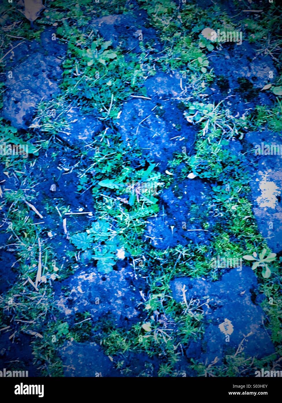 Garden path background Stock Photo - Alamy