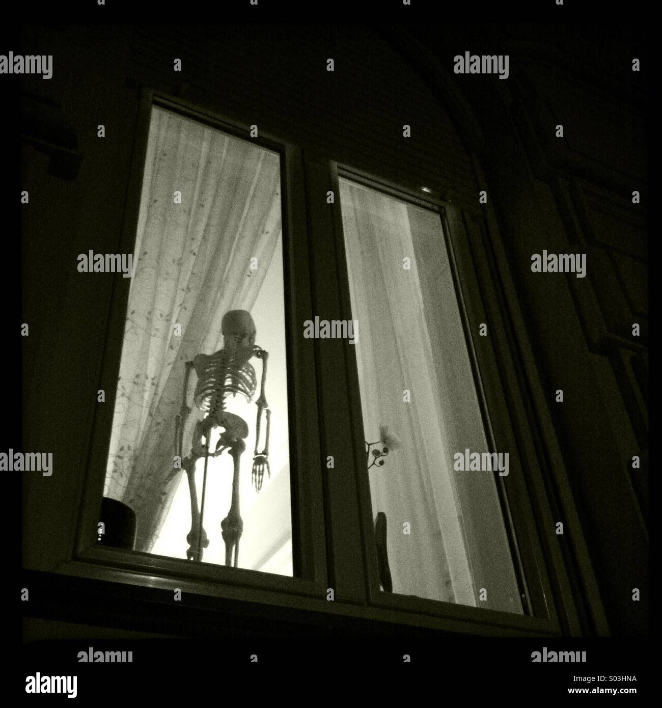 Plastic horror hi-res stock photography and images - Alamy