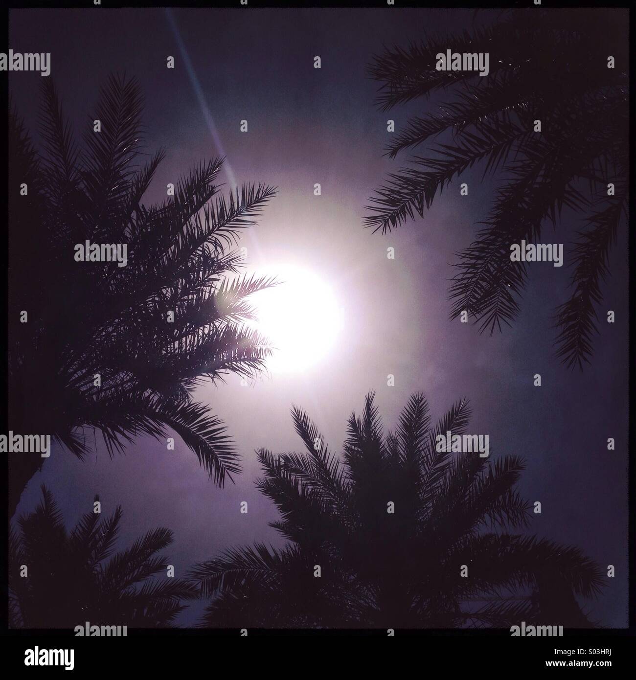 Blinding sun hi-res stock photography and images - Alamy