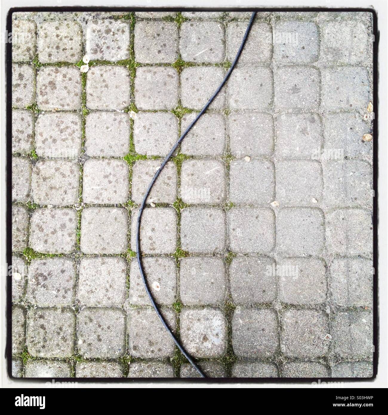 The water hose on a square tile pavement Stock Photo - Alamy