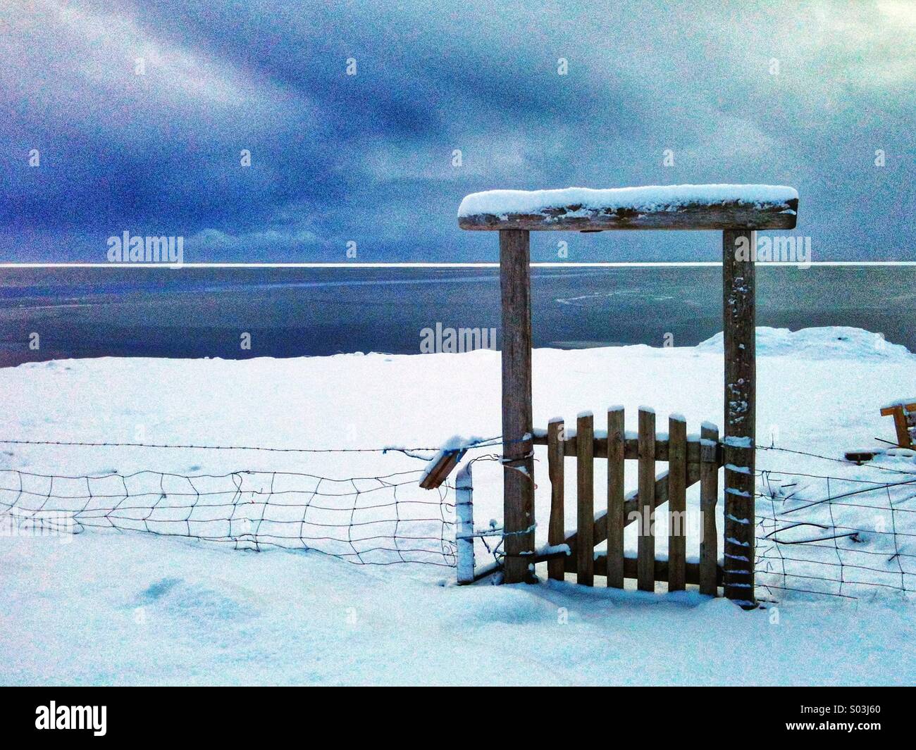 Hali hi-res stock photography and images - Alamy