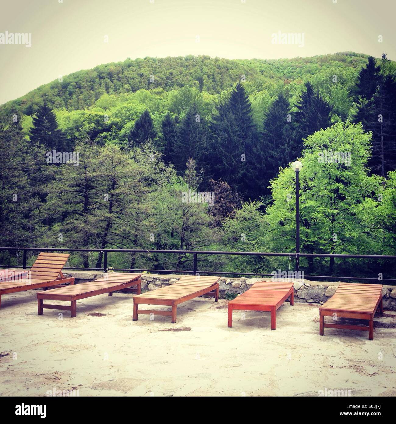 Forest lounger hi-res stock photography and images - Alamy