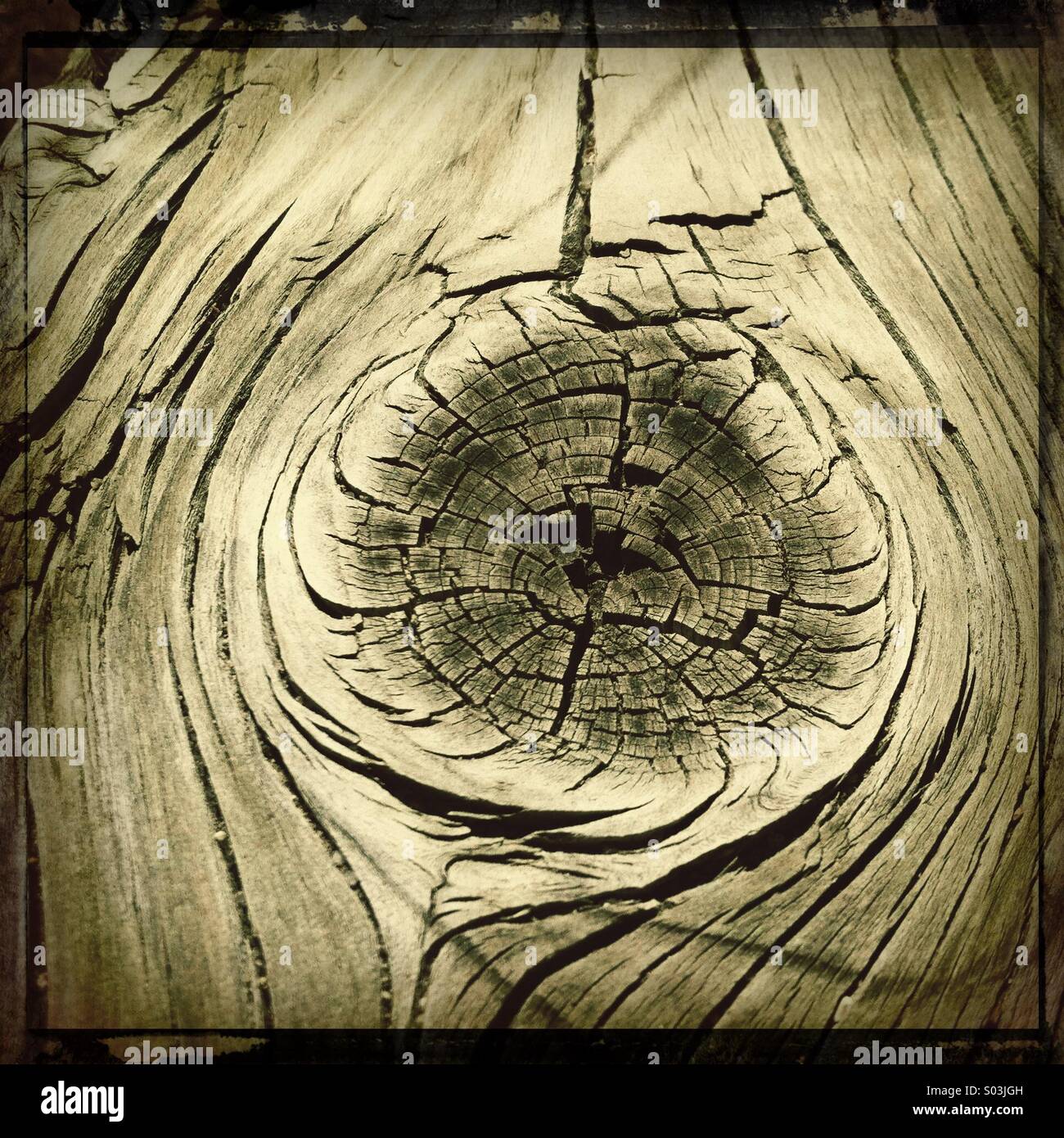 Large knot on weathered wood plank Stock Photo - Alamy