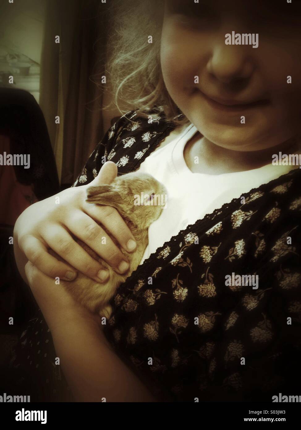 Girl pet rabbit hi-res stock photography and images - Alamy