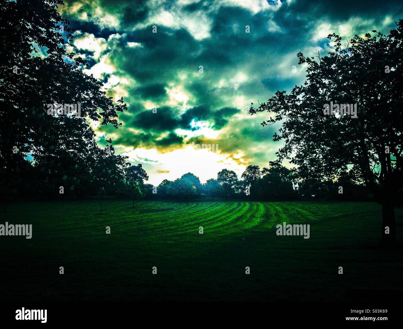 Fresh cut grass hi-res stock photography and images - Alamy