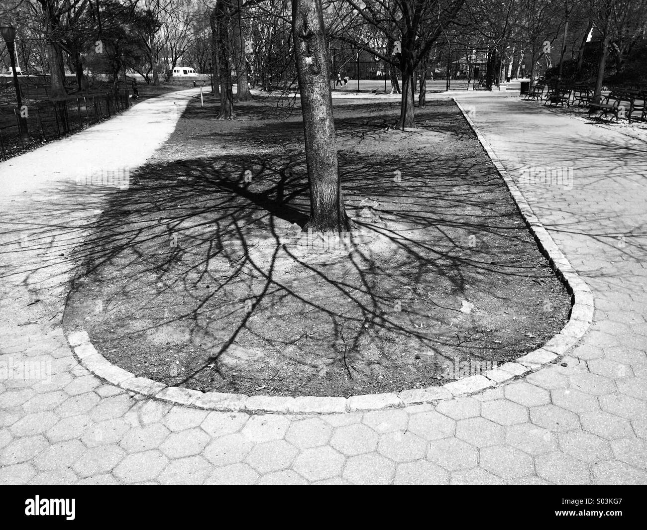 Put it in the tree hi-res stock photography and images - Alamy