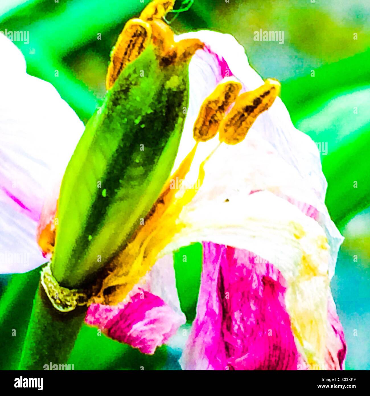 End finish hi-res stock photography and images - Alamy