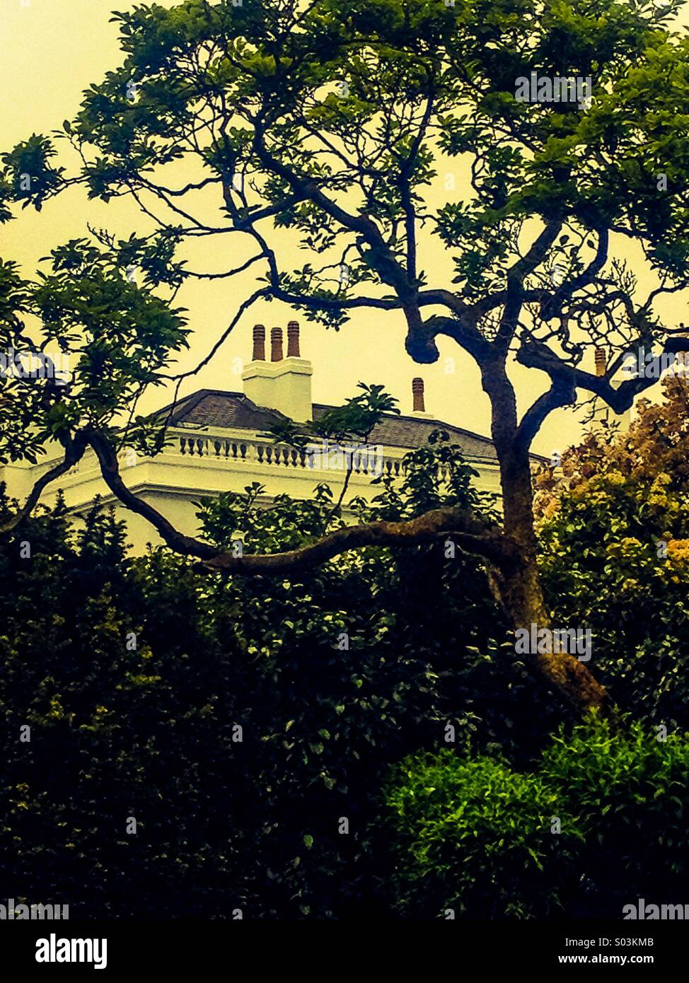 Old Manor House Framed By Trees Stock Photo Alamy old-manor-house-framed-by-trees-stock-photo-alamy
