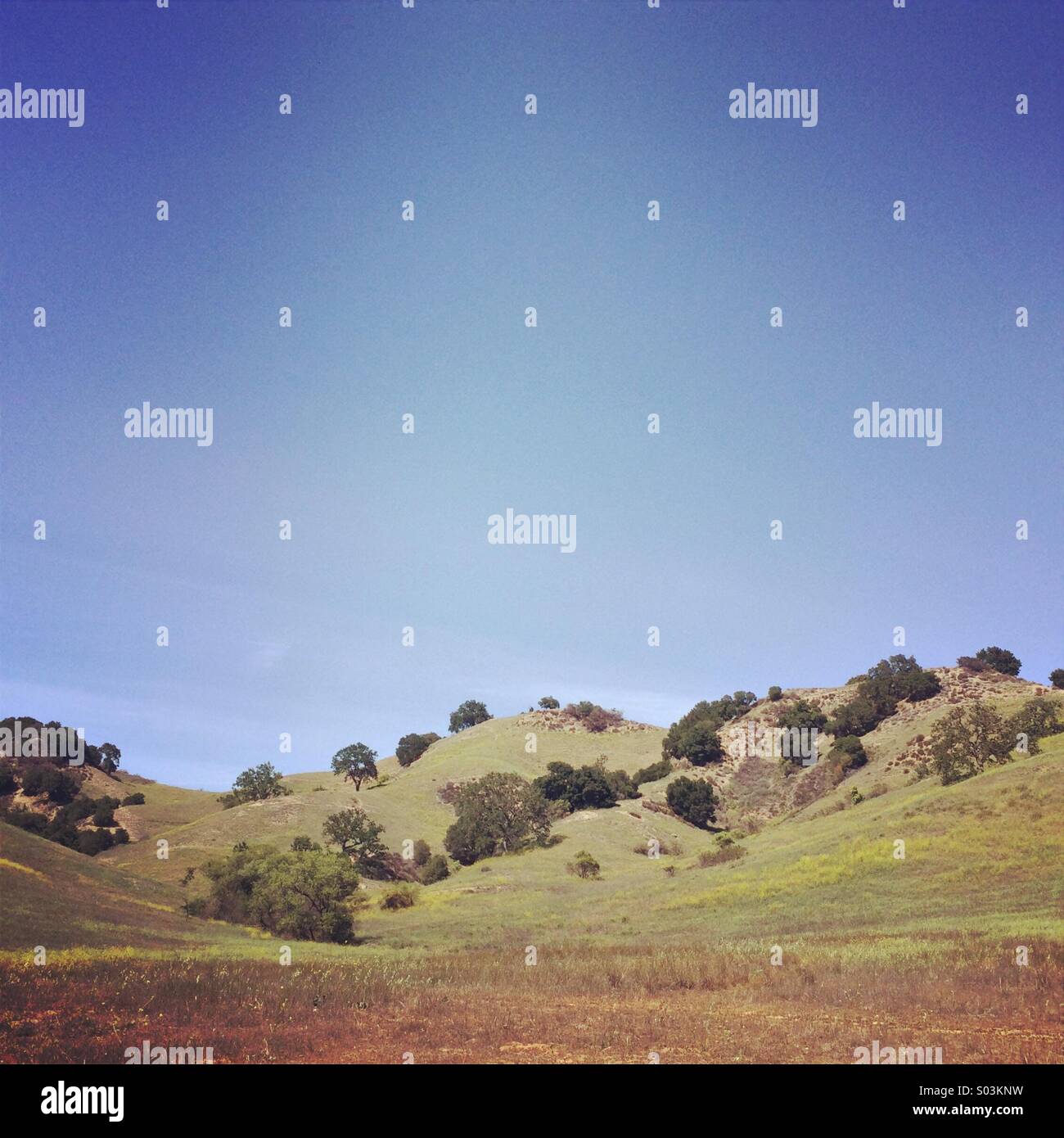Rolling hills of trees hi-res stock photography and images - Alamy