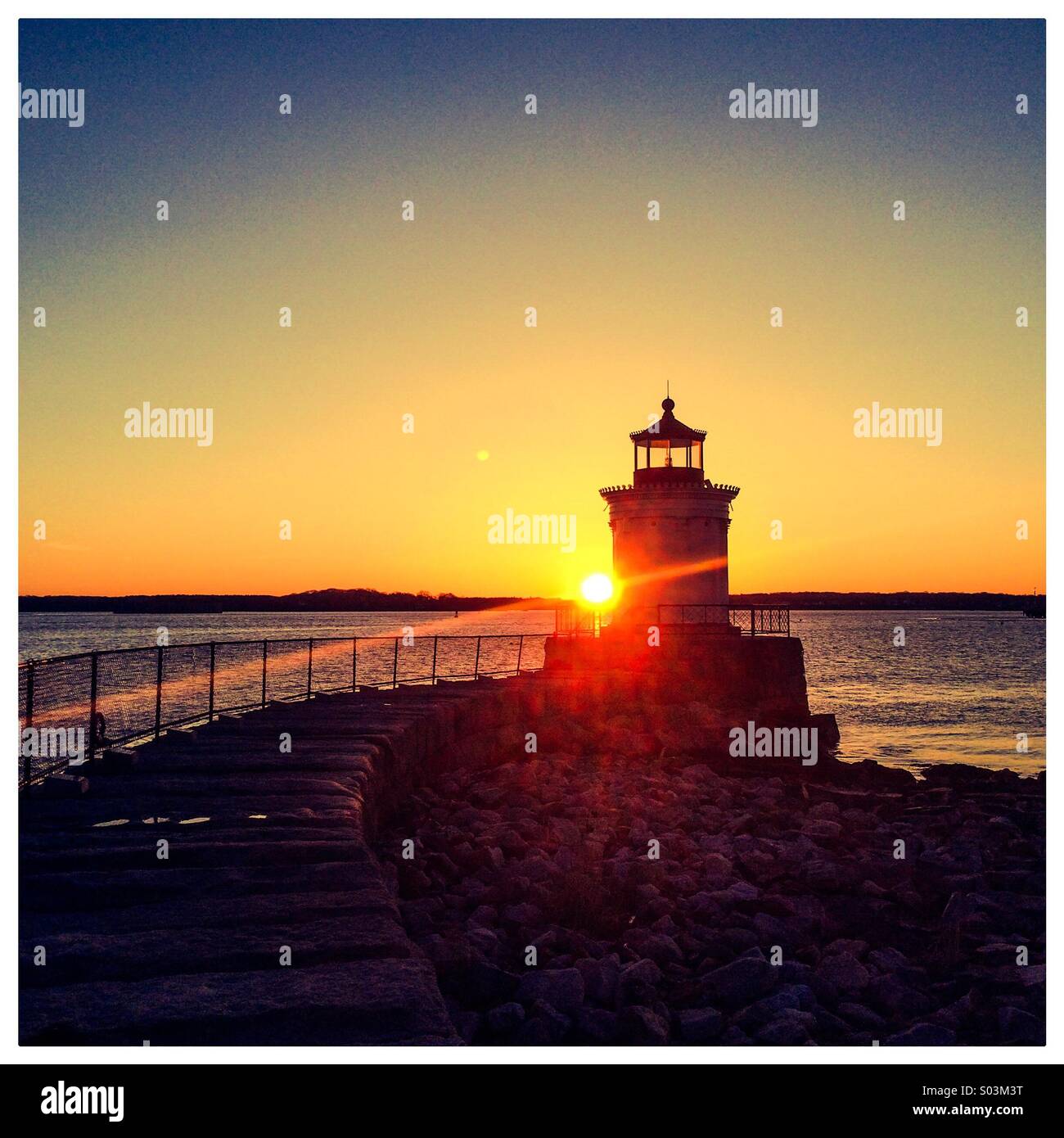 Light bug hi-res stock photography and images - Alamy