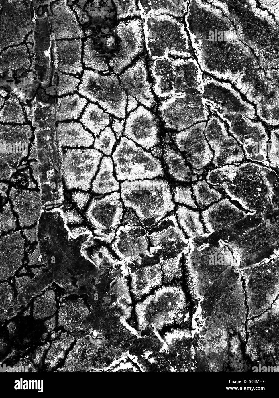 Pavement salt Black and White Stock Photos & Images - Alamy