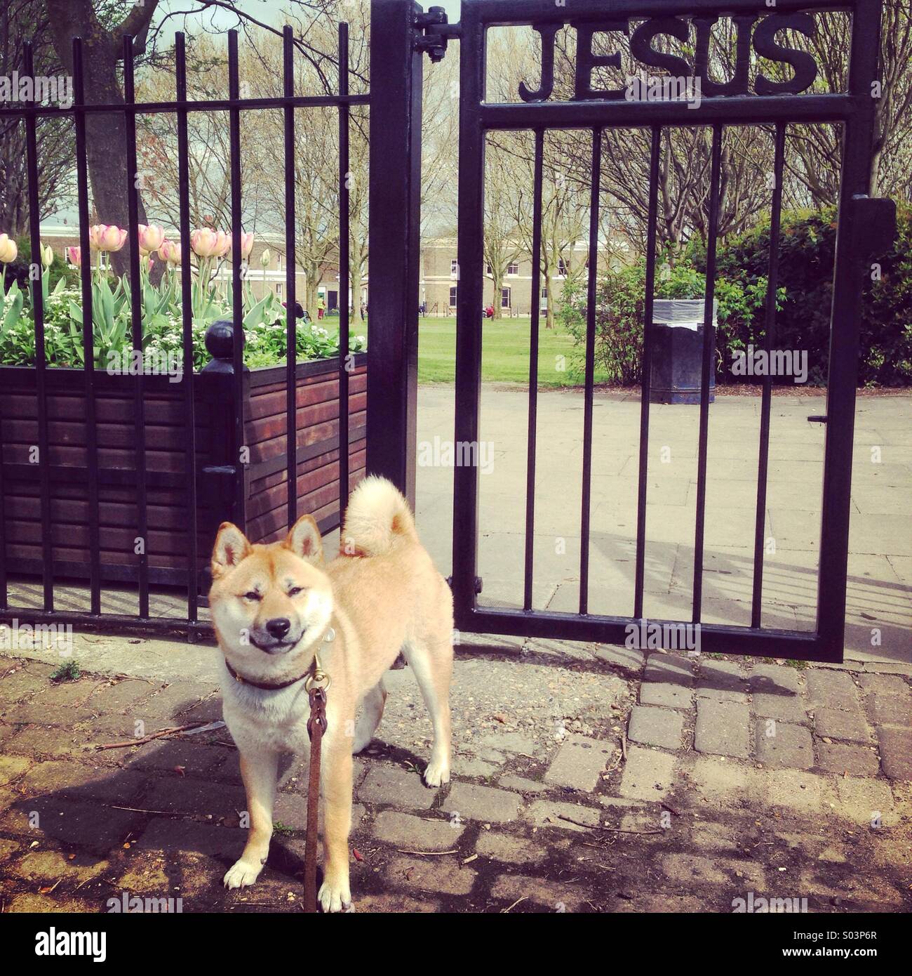 Jesus found hi-res stock photography and images - Alamy